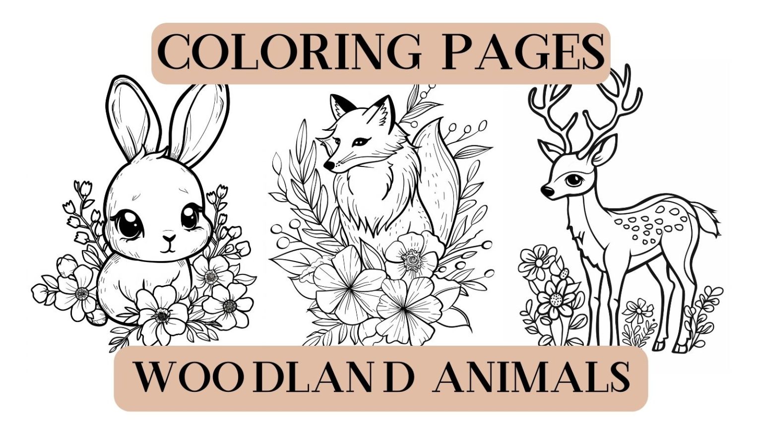 The Best Woodland Animal Coloring Pages for All Ages