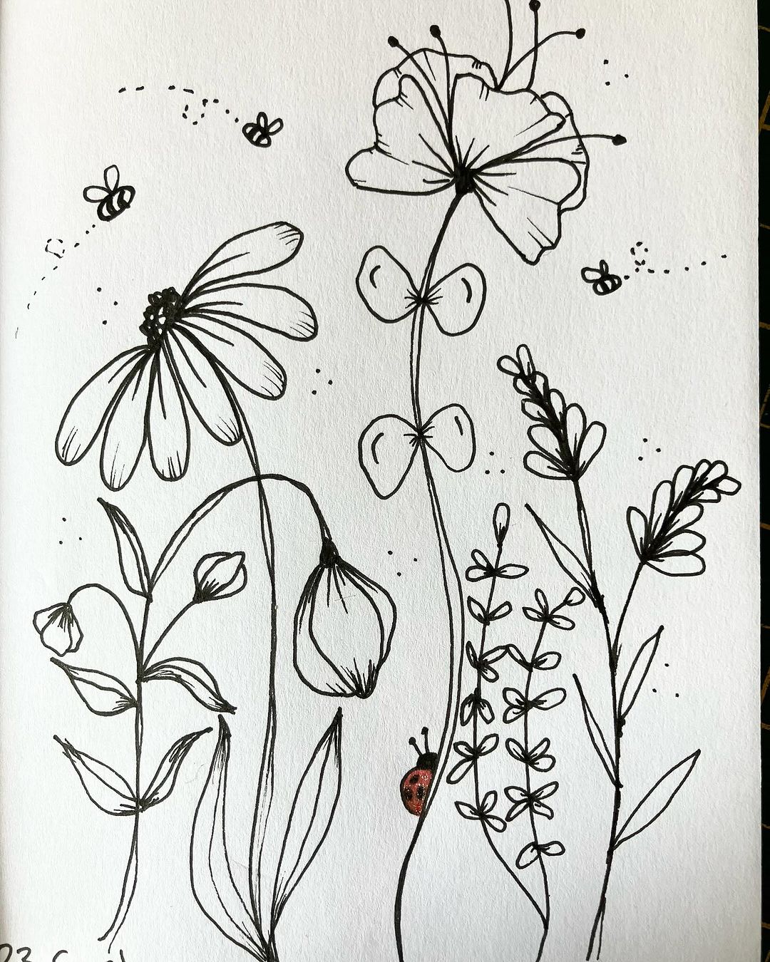 30 Flower Drawing Ideas to Make Your Sketchbook Bloom