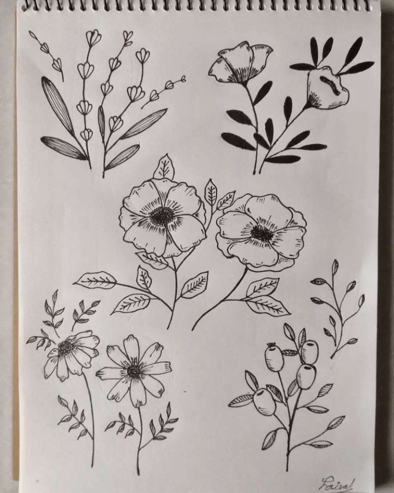 30 Flower Drawing Ideas to Make Your Sketchbook Bloom