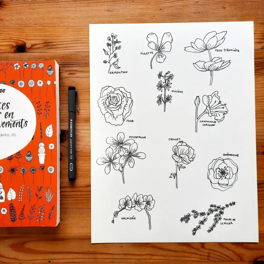 30 Flower Drawing Ideas to Make Your Sketchbook Bloom