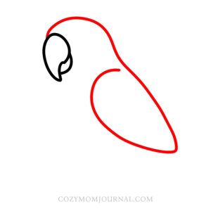 How to Draw a Parrot – Parrot Drawing Step-by-Step Tutorial
