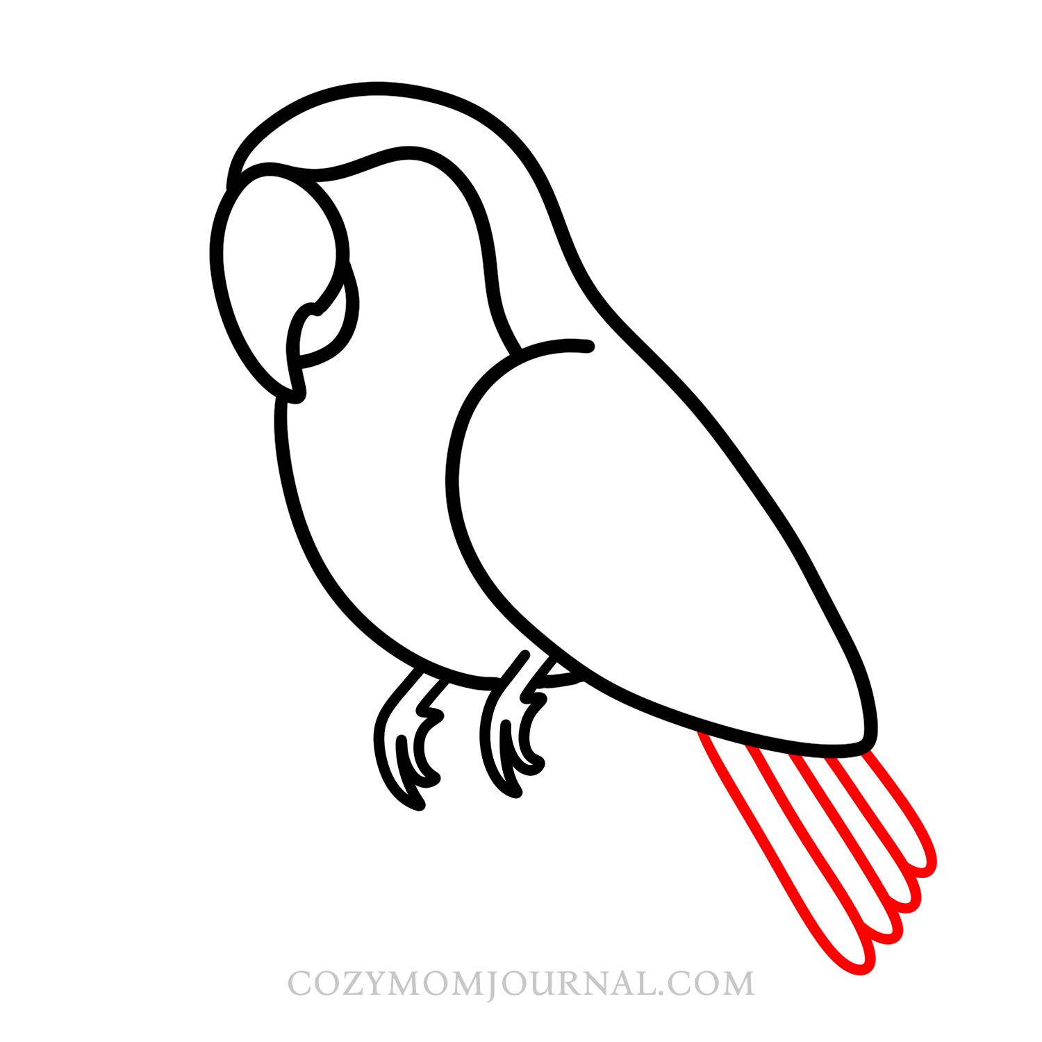 How to Draw a Parrot – Parrot Drawing Step-by-Step Tutorial