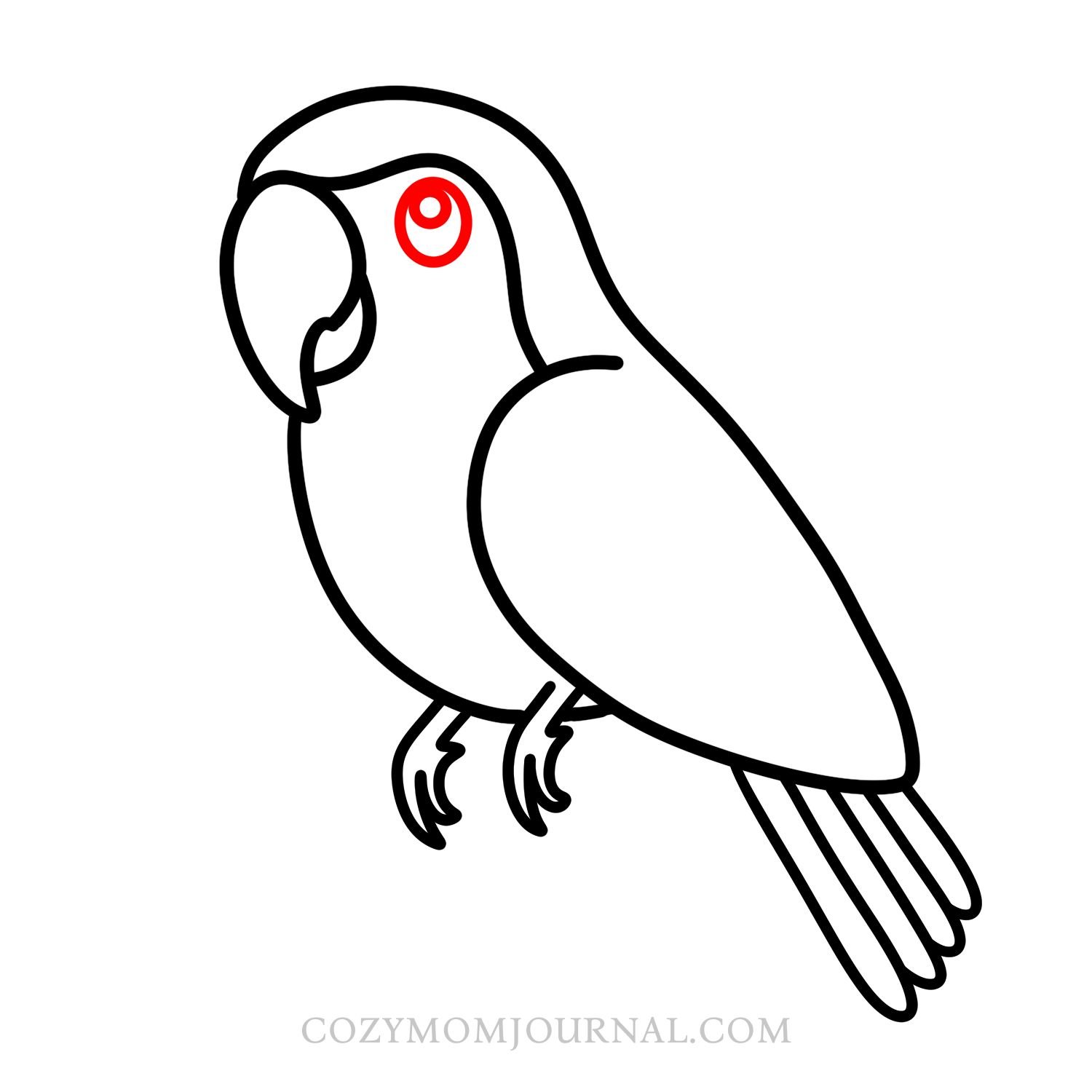 How to Draw a Parrot – Parrot Drawing Step-by-Step Tutorial